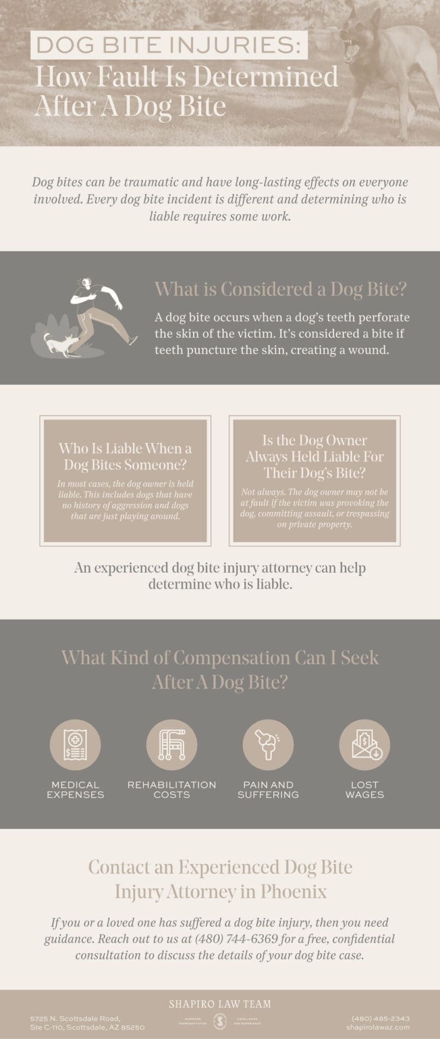 How to Prove Fault in a Dog Bite Case? | Shapiro Law Team